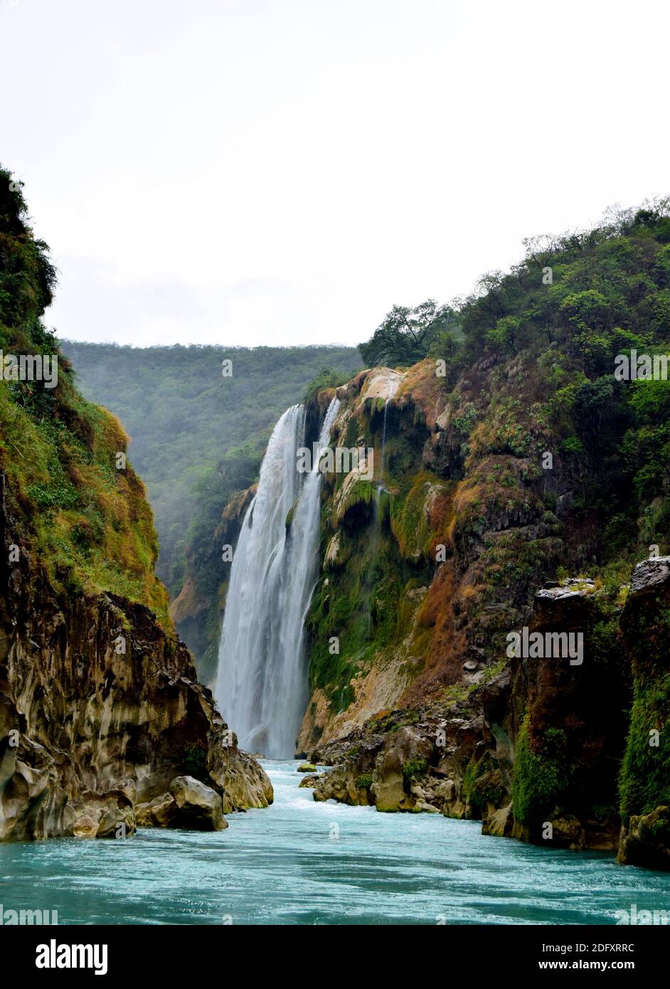 Tamul hi-res stock photography and images - Alamy