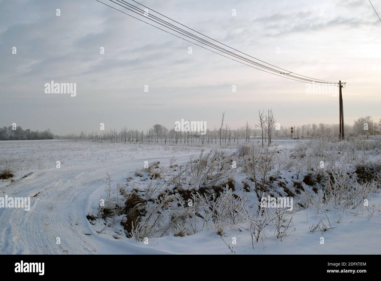 Snowy morning hi-res stock photography and images - Alamy
