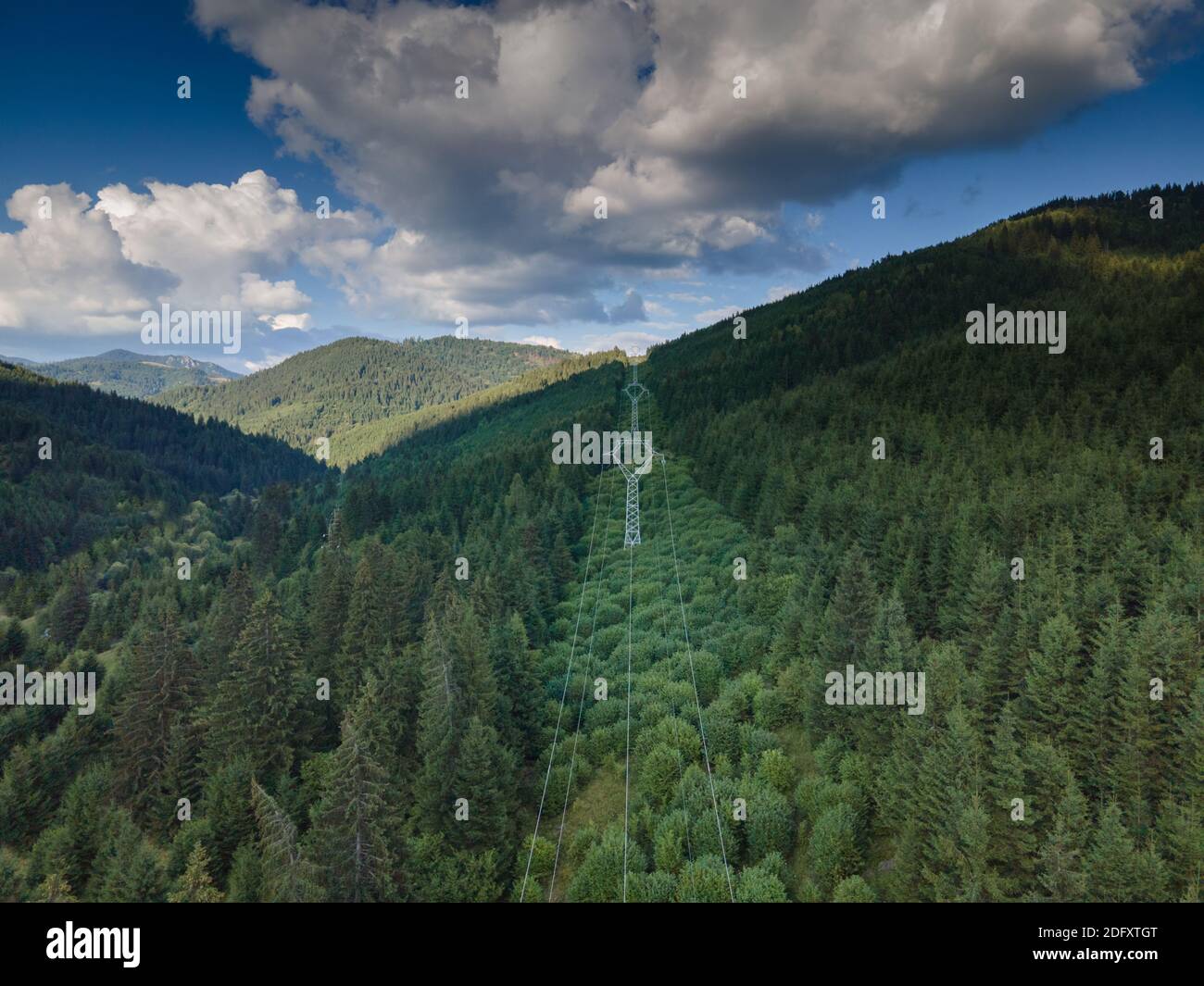 Above the electricity poles that pass over the fir trees Stock Photo ...
