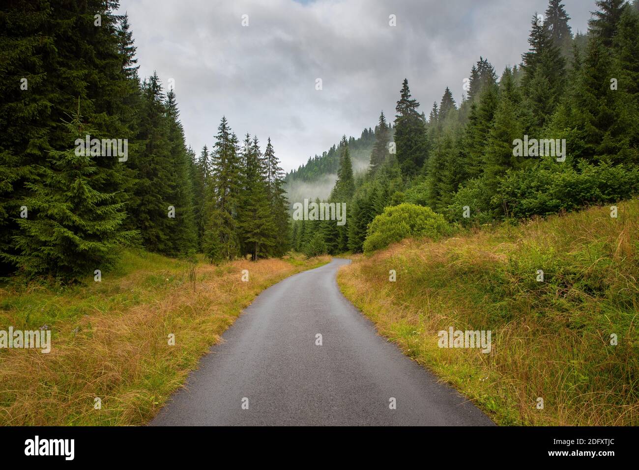 The road to nature Stock Photo - Alamy