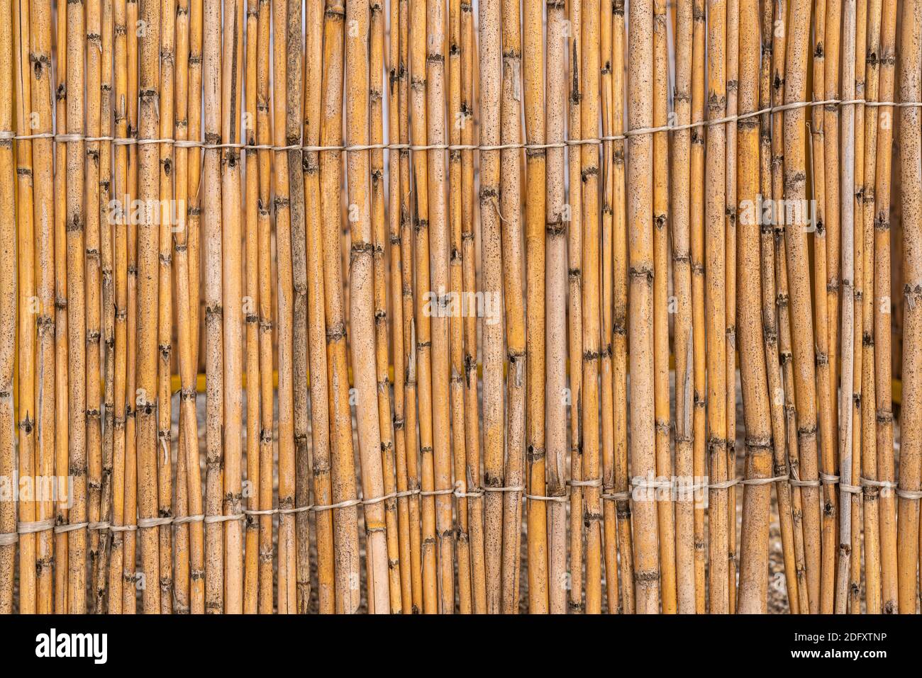 Dry reed fence background, texture Stock Photo - Alamy