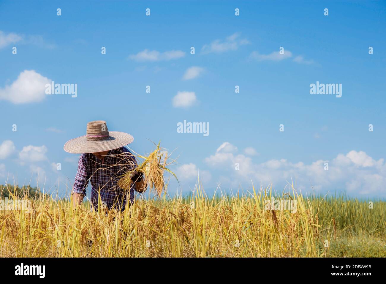 Man using scythe hand hi-res stock photography and images - Alamy