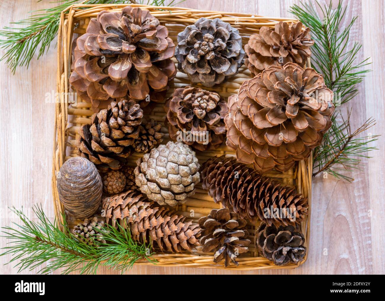 different shapes and types of cones in a wicker basket, preparing for ...