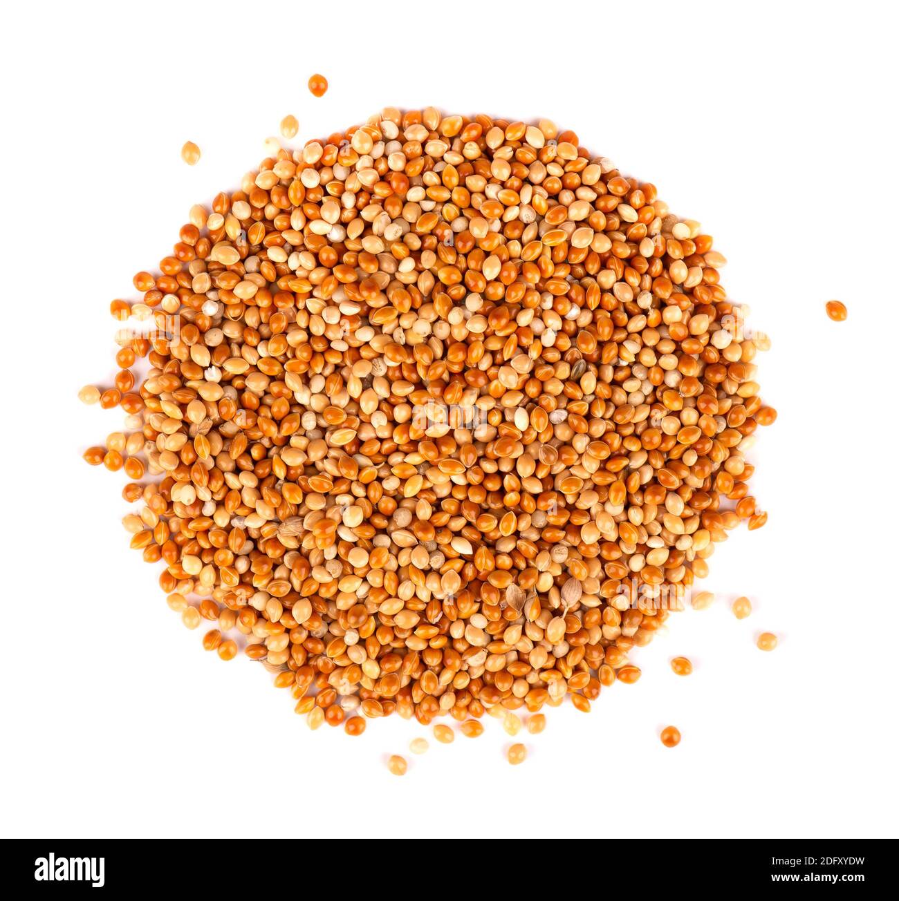 Millet isolated on white background. Unpeeled millet seeds. Top view ...