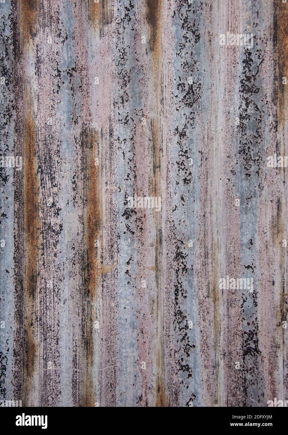 Weathered paint on corrugated iron fence Stock Photo - Alamy
