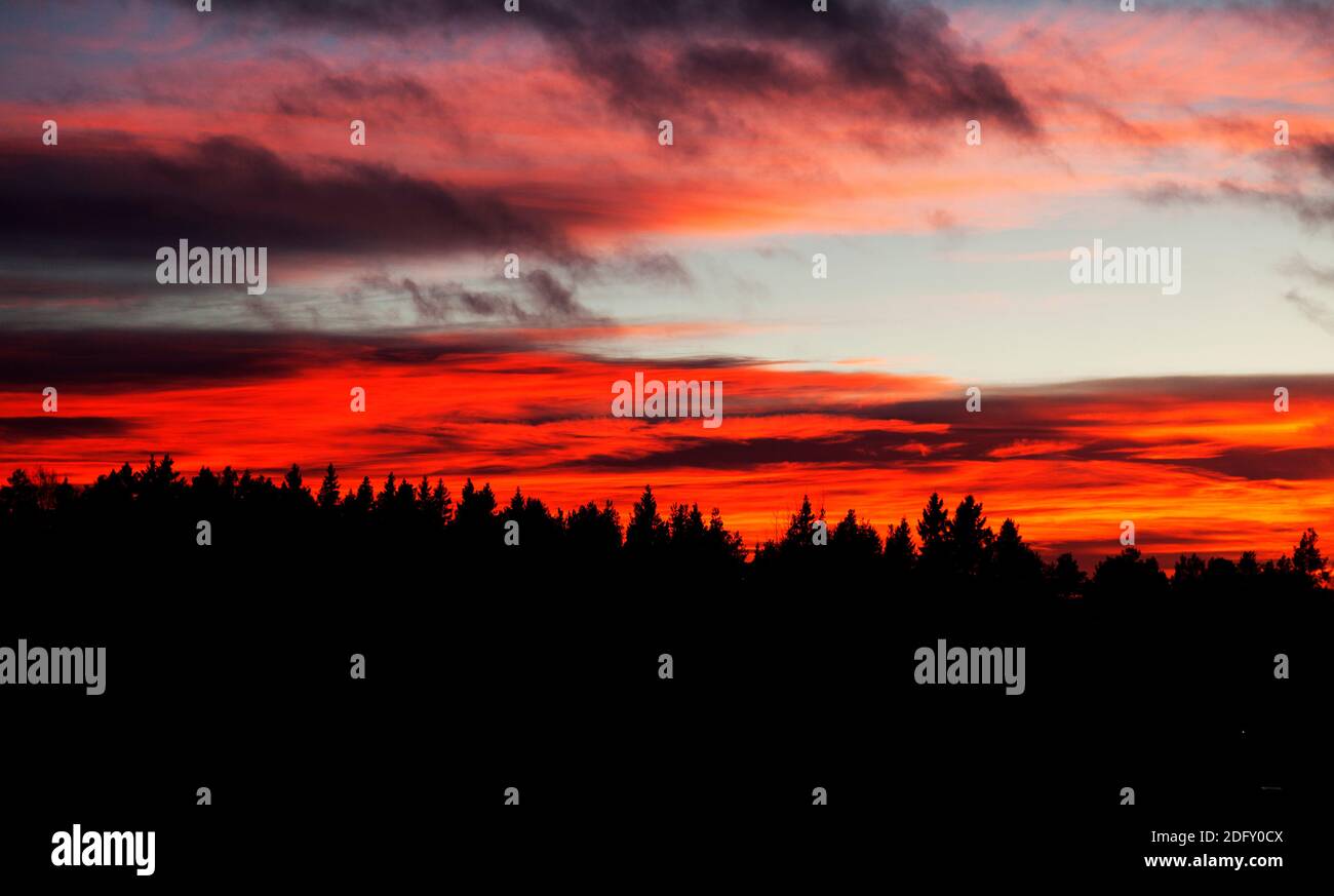 red sunset with forest in backlight Stock Photo - Alamy