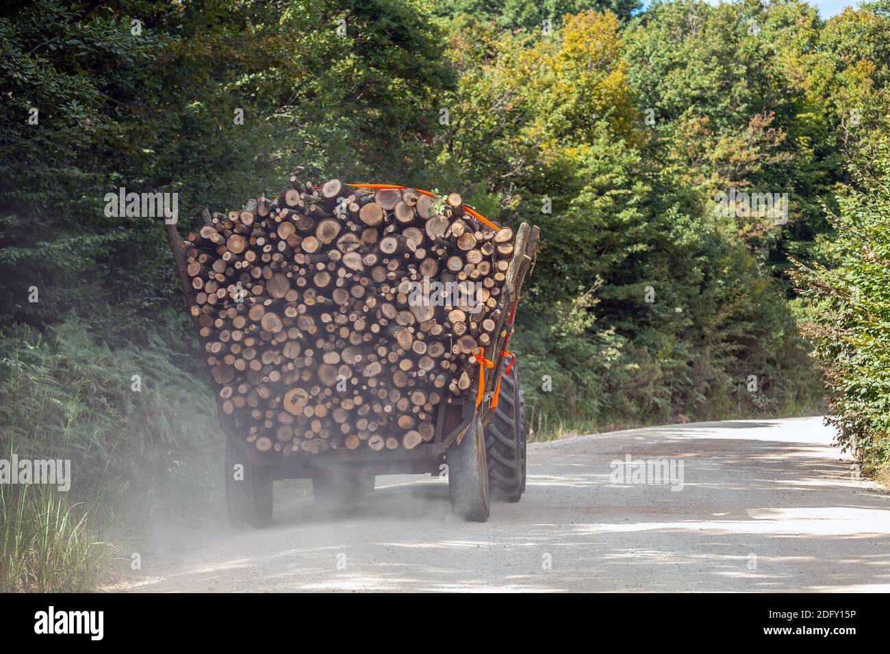 logging tractor on forest road Stock Photo - Alamy