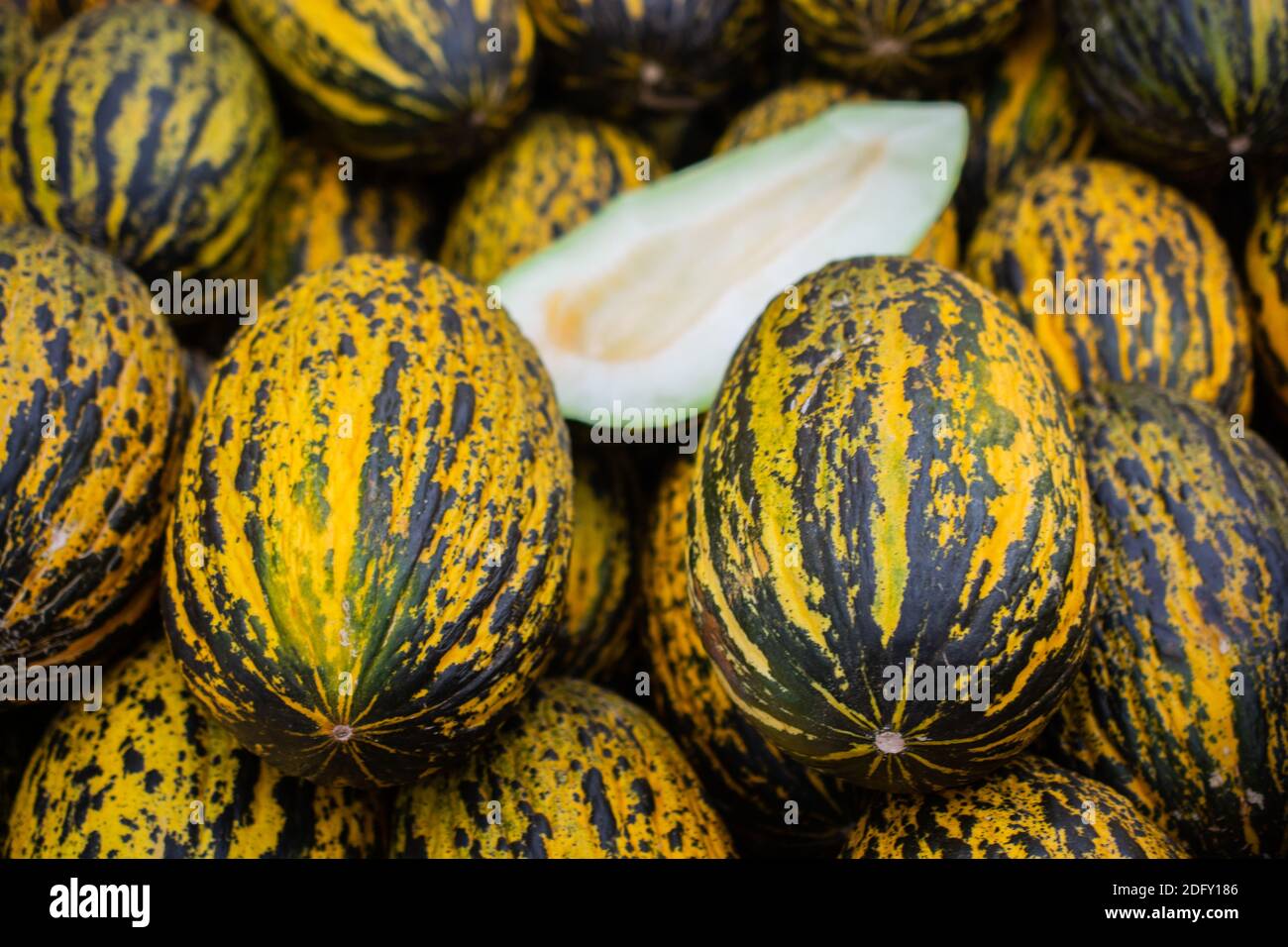 Ripe melons hi-res stock photography and images - Alamy