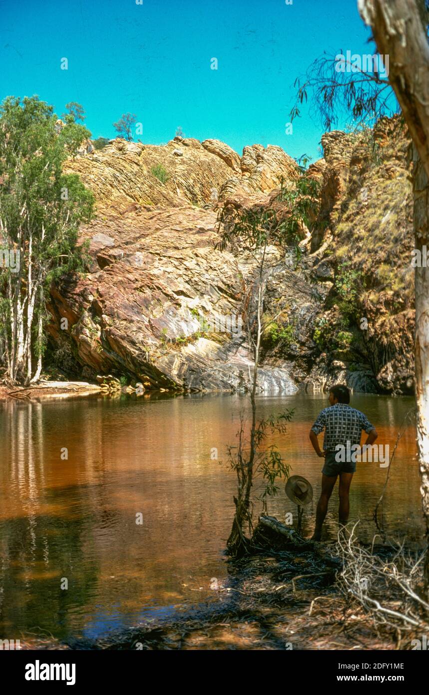 Beadell Springs on McArthur River Station, Borroloola, in the Gulf ...