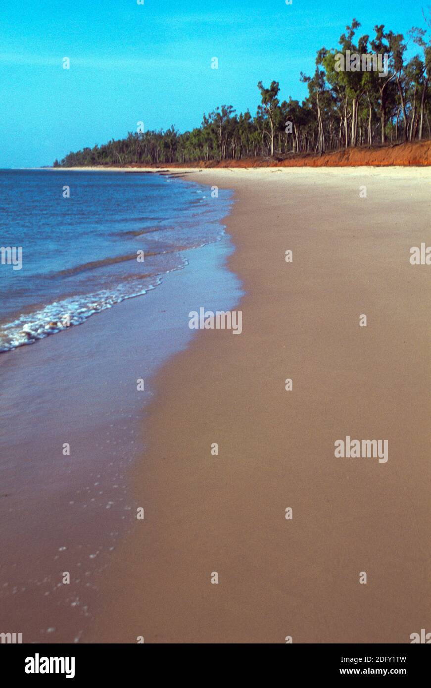Beach below Putjamirra Safari Camp on Melville Island, Tiwi Islands ...