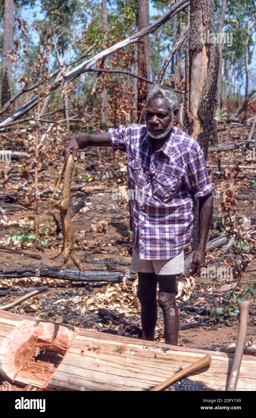 Australian log hi-res stock photography and images - Alamy