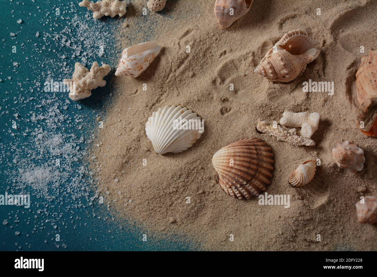 Sea shells on a sea wave color background with sand. Summer vacation ...
