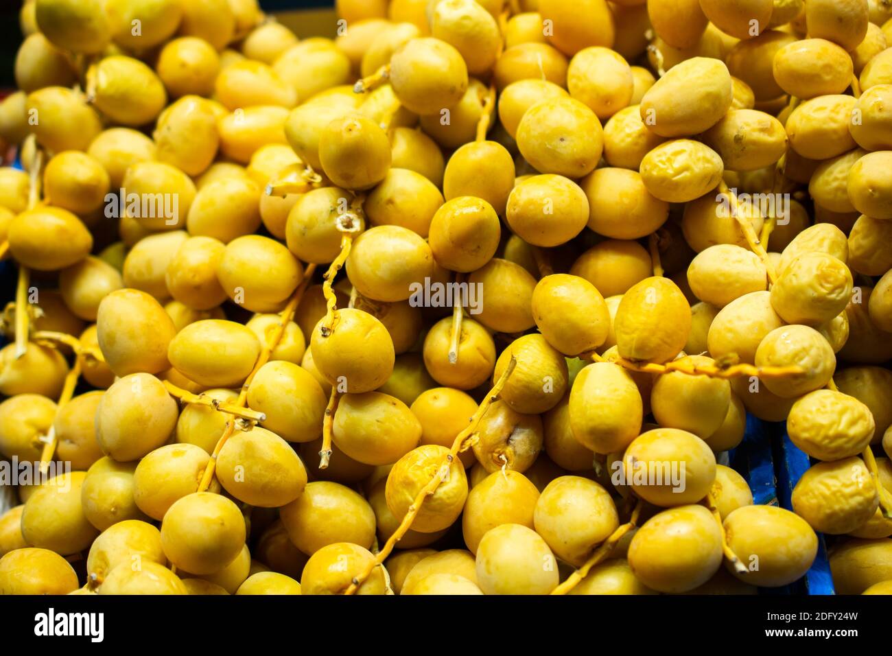 Delicious and sweet fresh dates fruit in view Stock Photo - Alamy