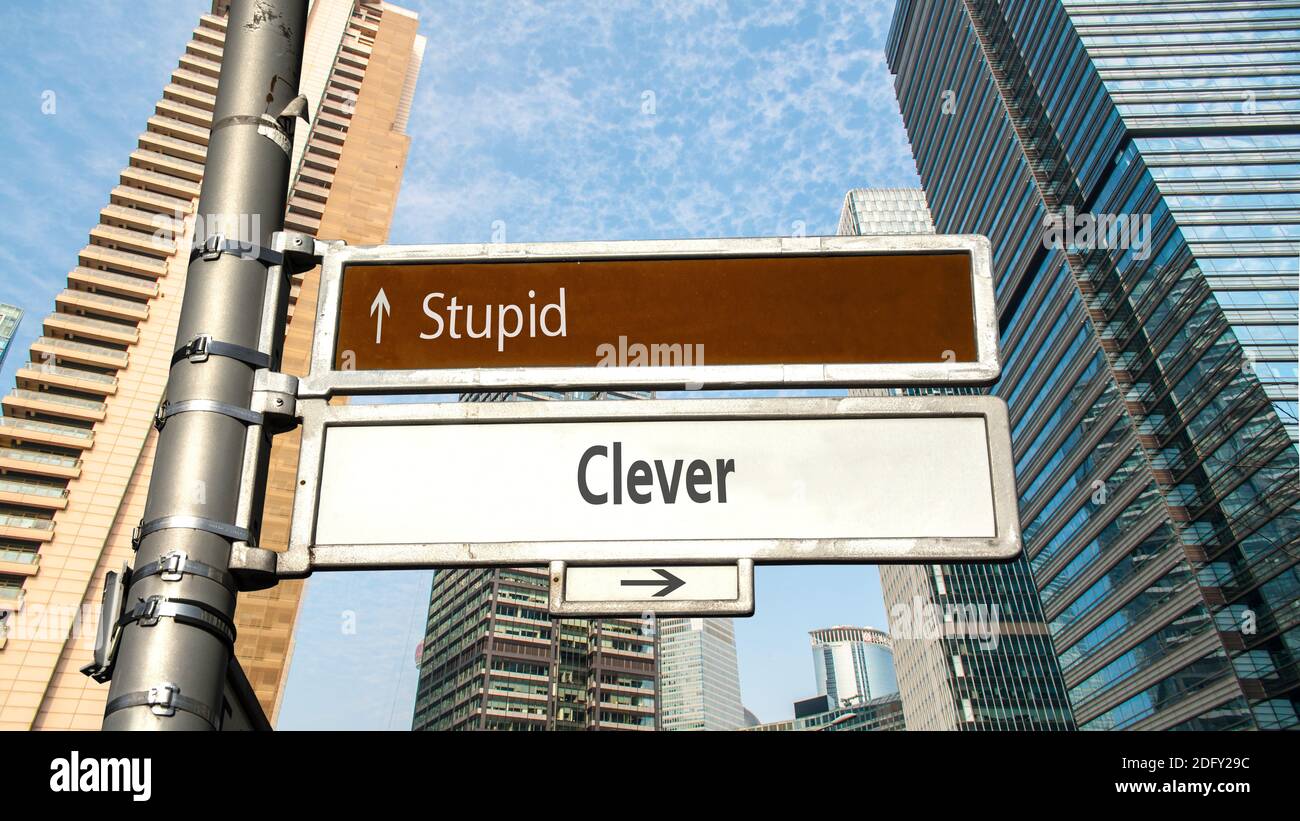 Street Sign the Direction Way to Clever versus Stupid Stock Photo - Alamy