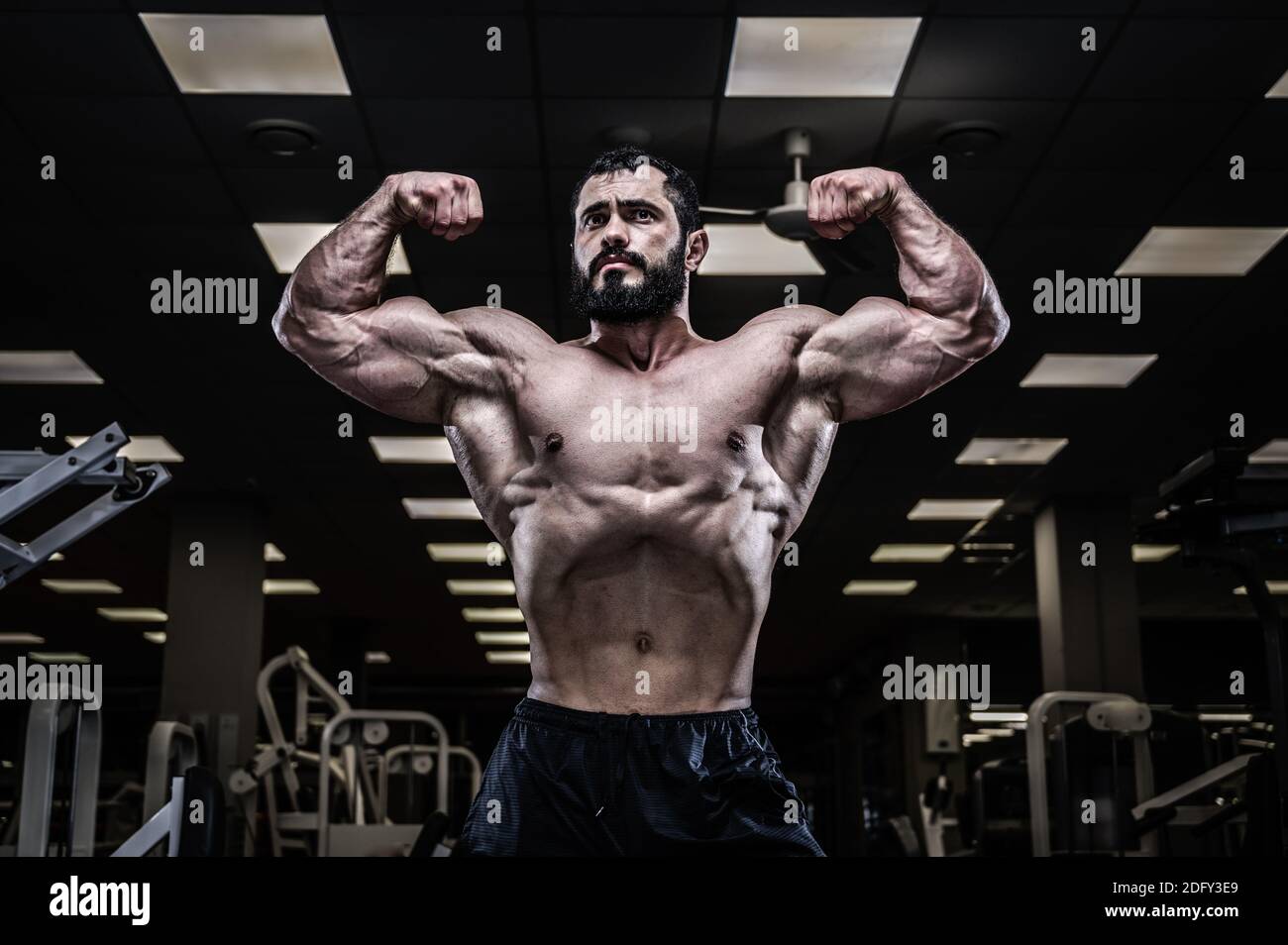 strong young caucasian man with beard showing powerful biceps arms ...