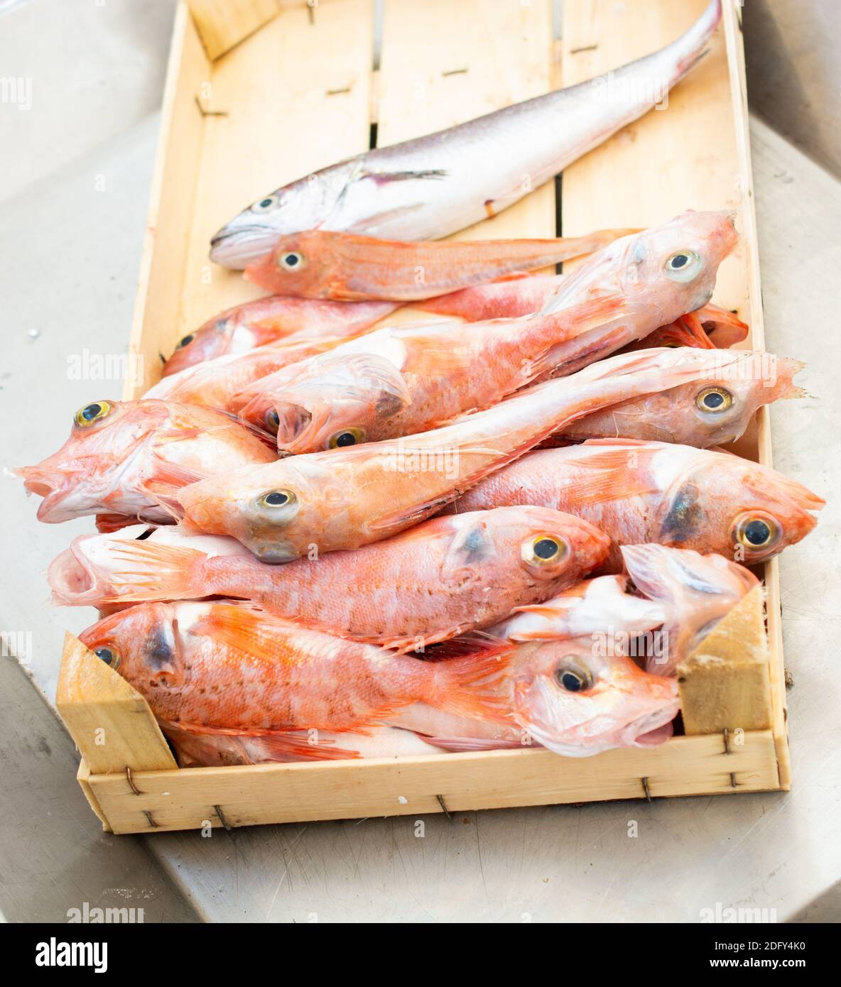 Fresh fish as sea food for sale at a fish market Stock Photo - Alamy