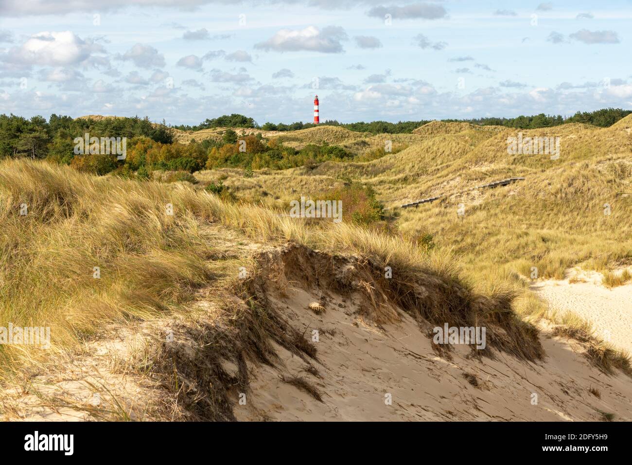 The lighthouse in the dunes of Amrum, Germany Stock Photo - Alamy