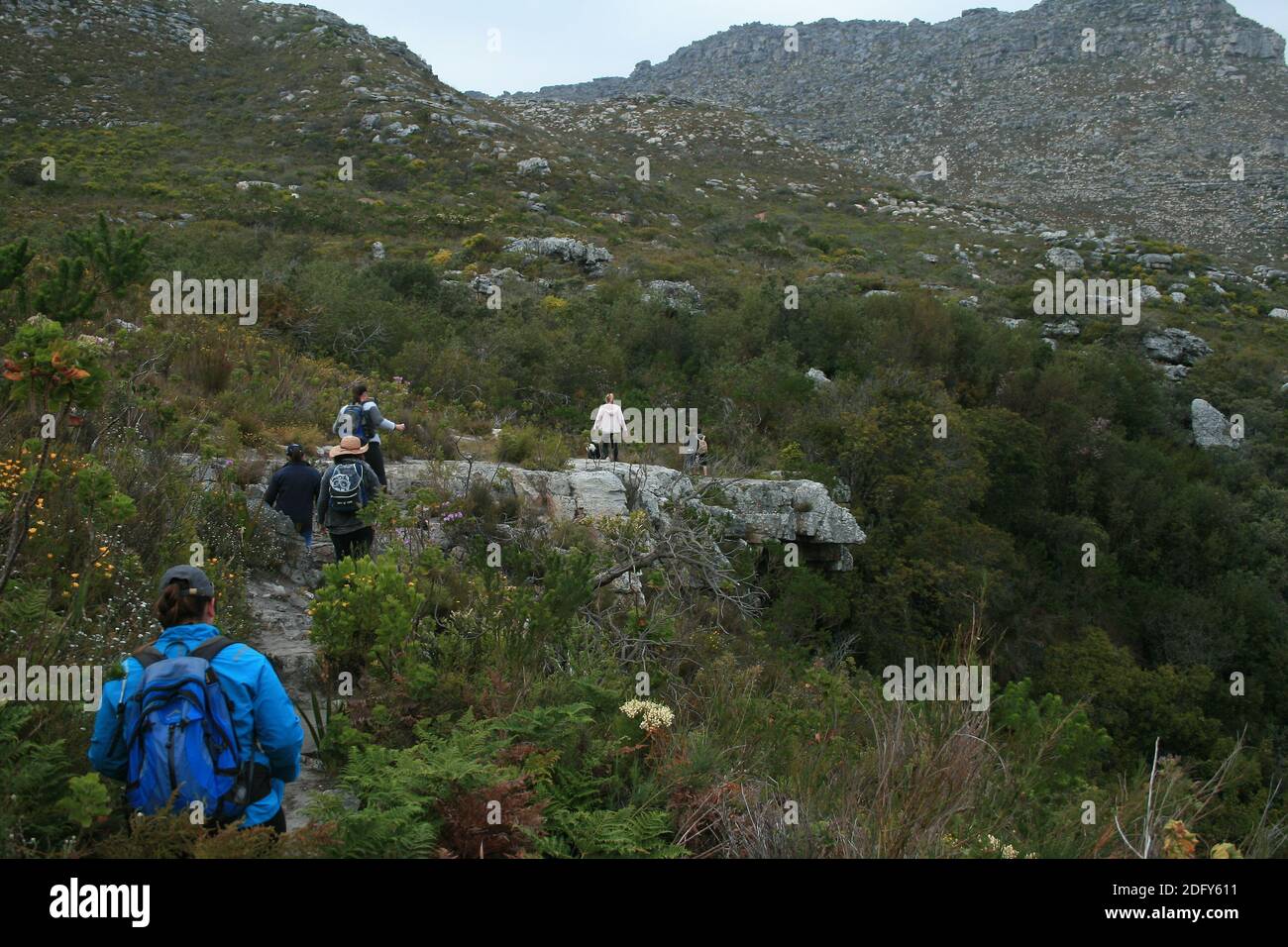 South Africa Silver Mine Waterfall and stream hike in overcast weather ...