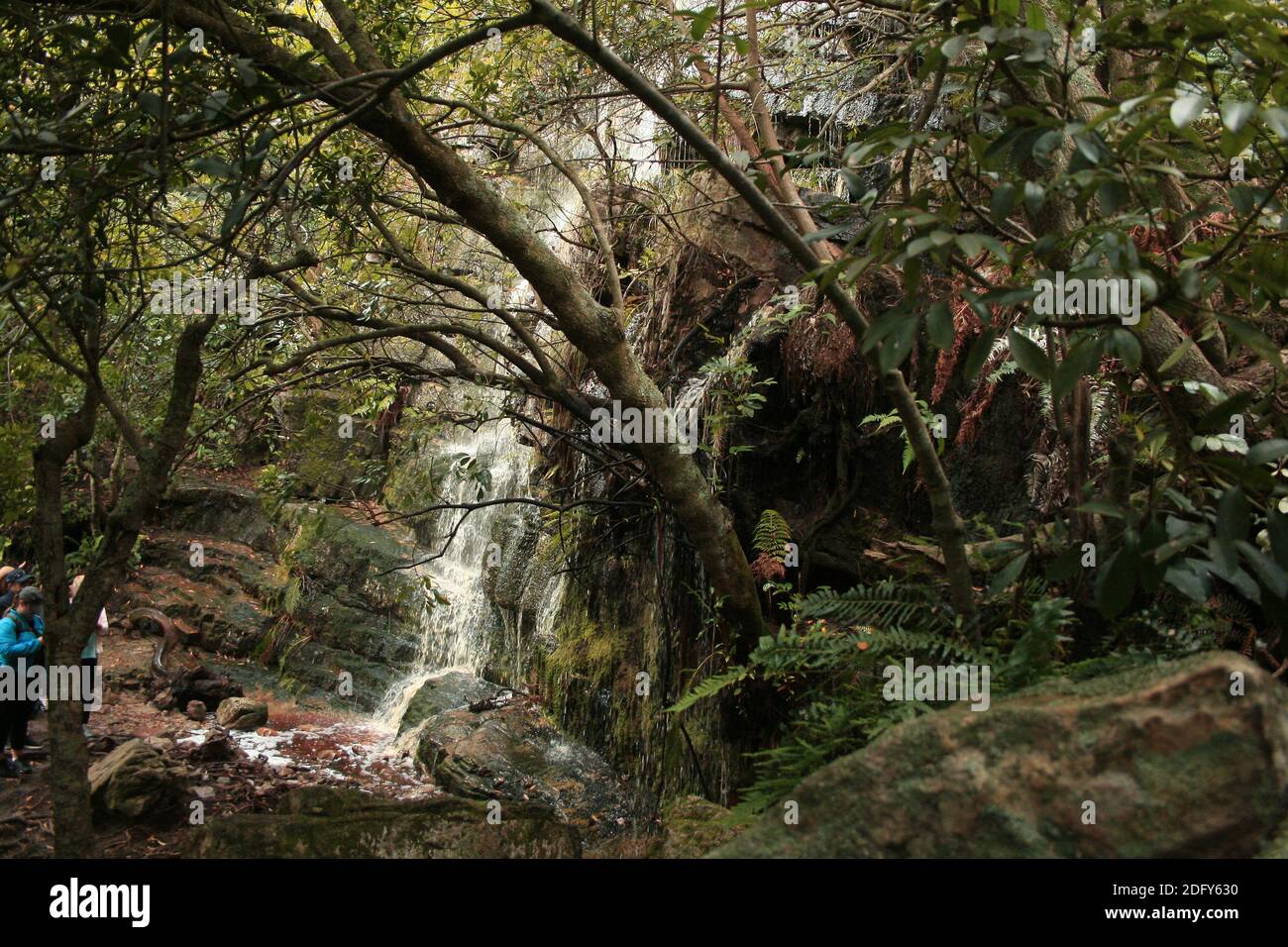 South Africa Silver Mine Waterfall and stream hike in overcast weather ...