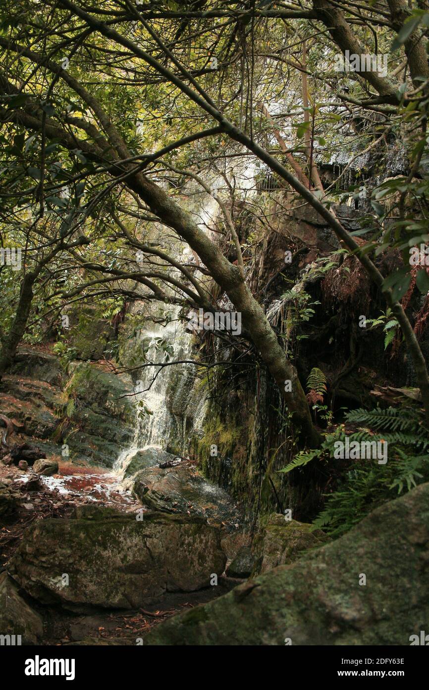 South Africa Silver Mine Waterfall and stream hike in overcast weather ...