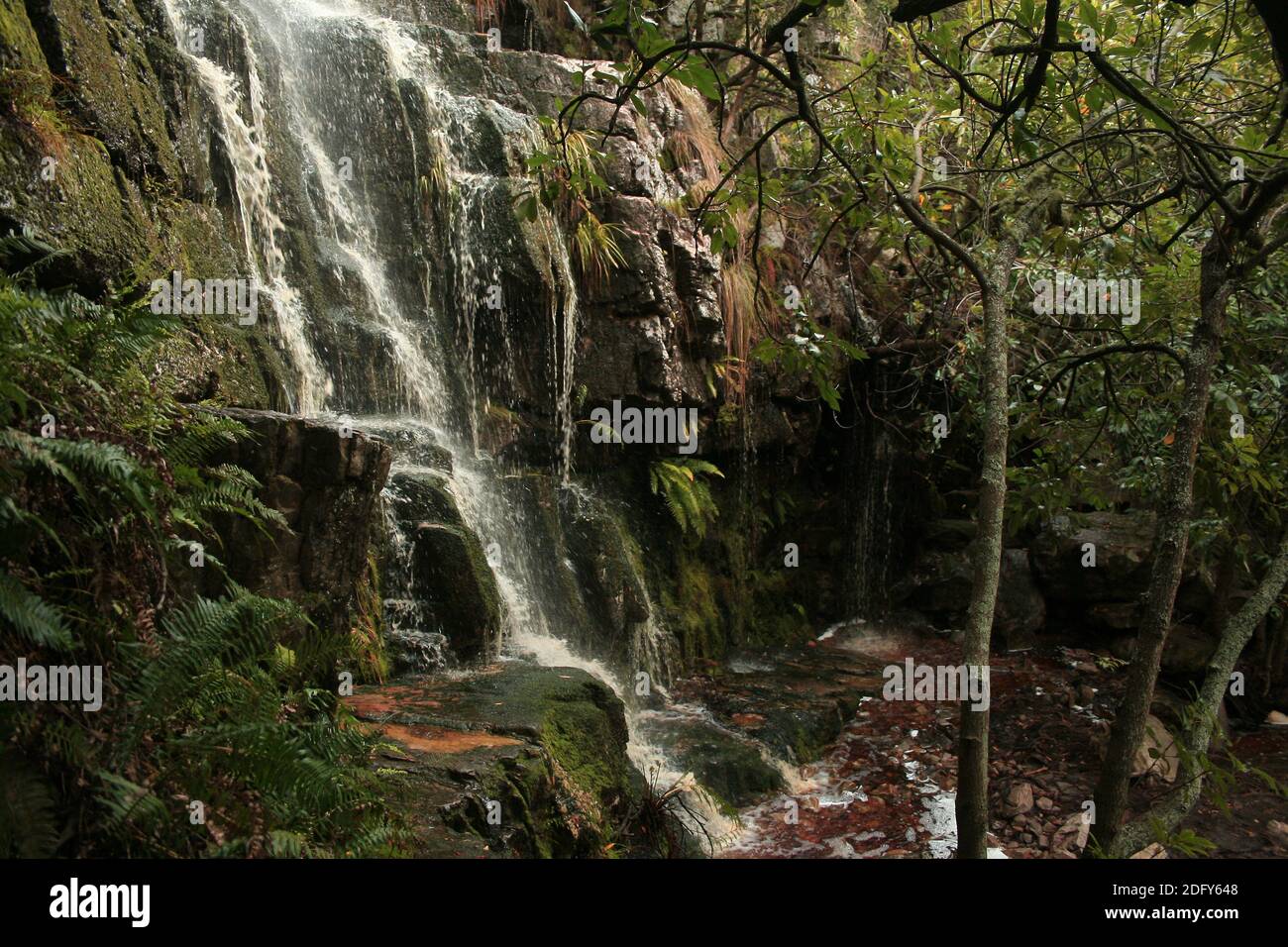 South Africa Silver Mine Waterfall and stream hike in overcast weather ...