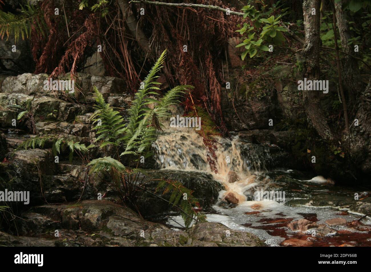 South Africa Silver Mine Waterfall and stream hike in overcast weather ...