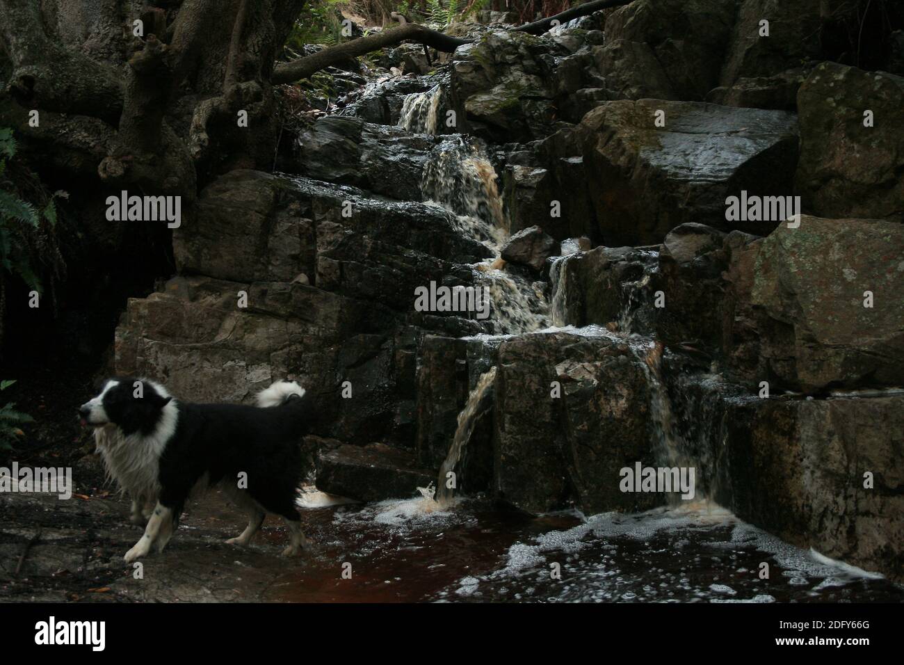 South Africa Silver Mine Waterfall and stream hike in overcast weather ...