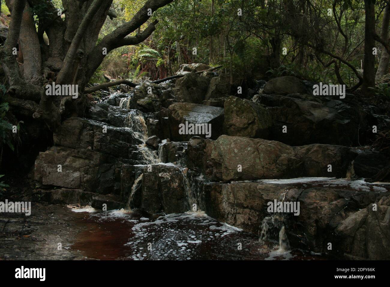 South Africa Silver Mine Waterfall and stream hike in overcast weather ...