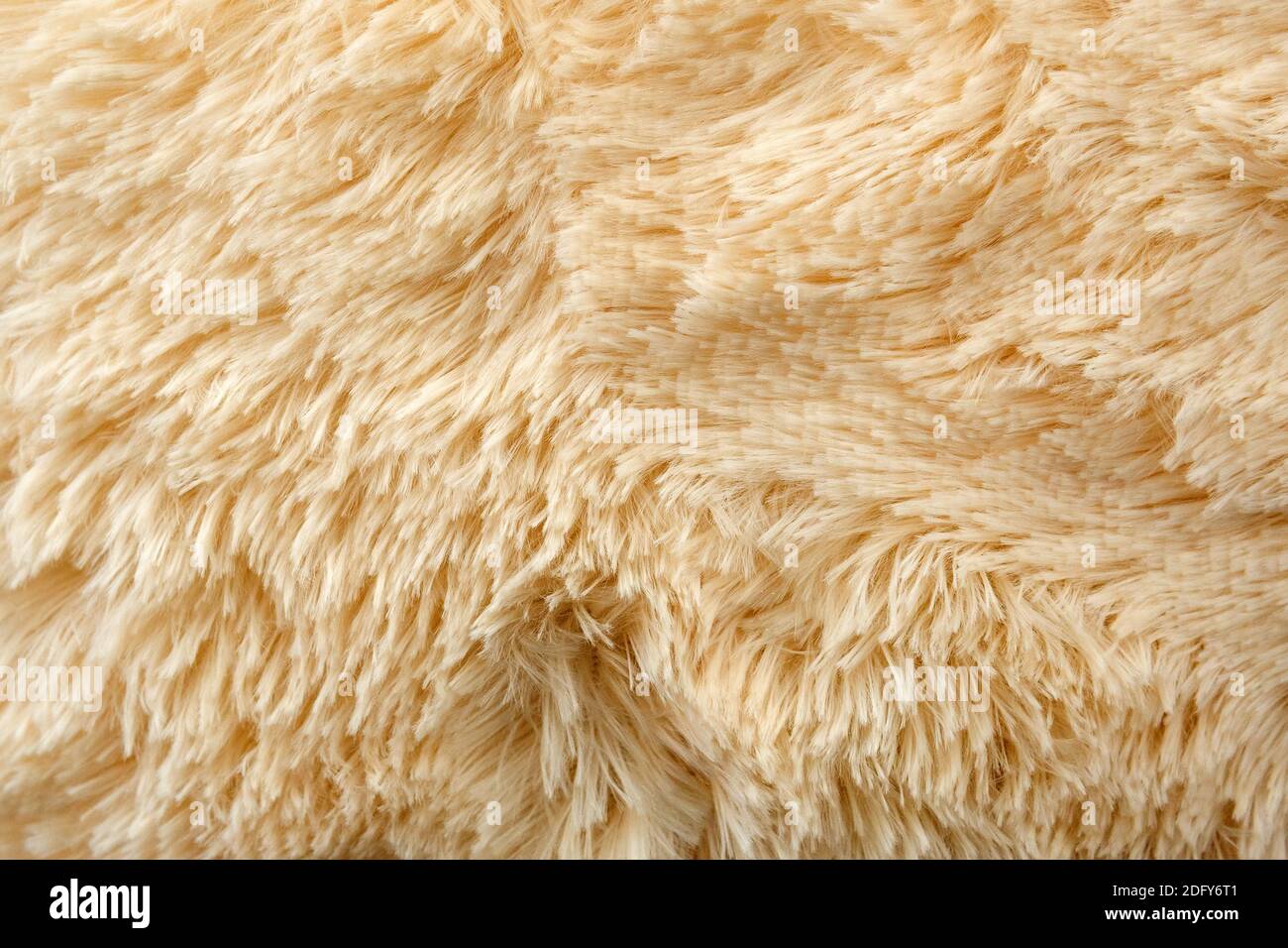 Beige wool texture background. Natural fluffy fur sheep wool skin ...