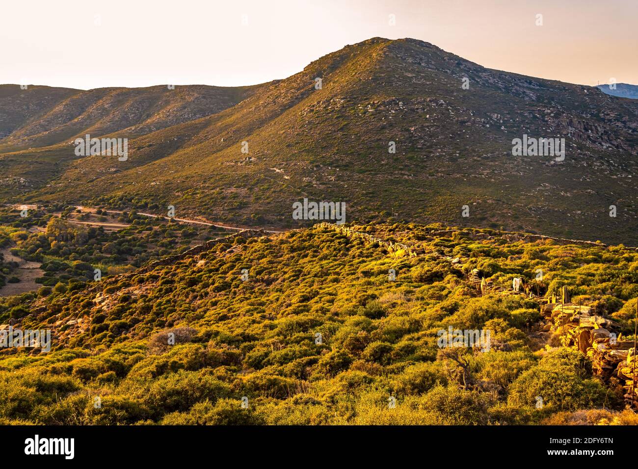 Mountainous highlands of the Greek Cyclades island Andros with goats on ...