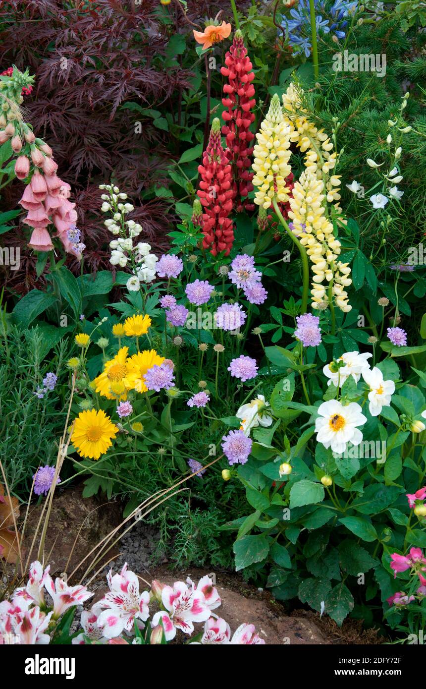 A colourful rockery and flower garden with mixed planting and plant ...