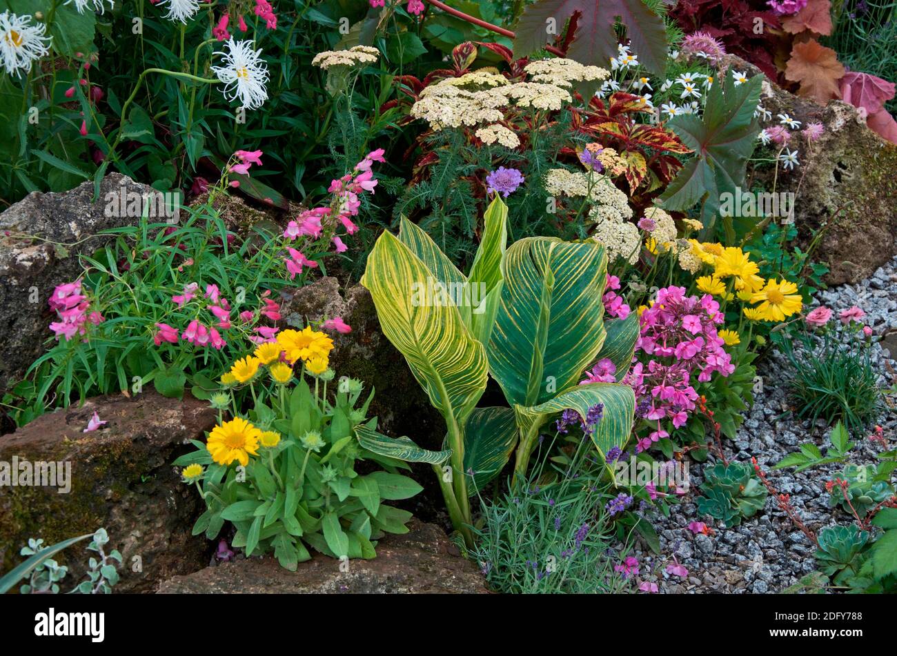 An exotic flower border with a large range of colourful flowers and ...