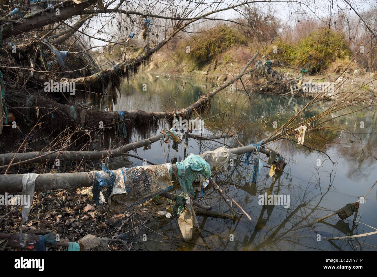 Plastic waste india beauty hi-res stock photography and images - Alamy