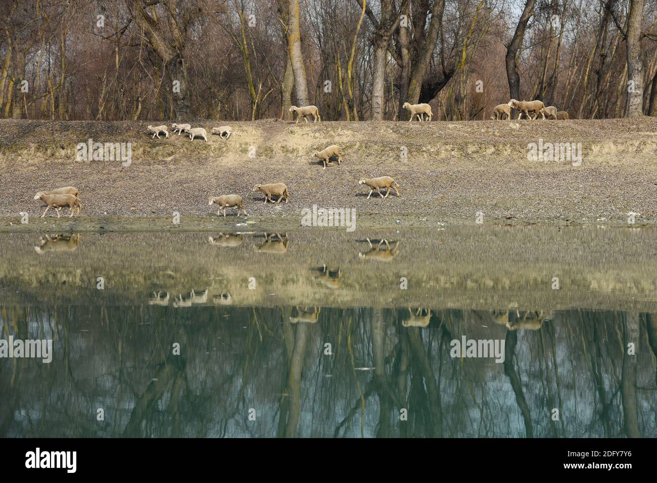 Glacier fed rivers hi-res stock photography and images - Alamy