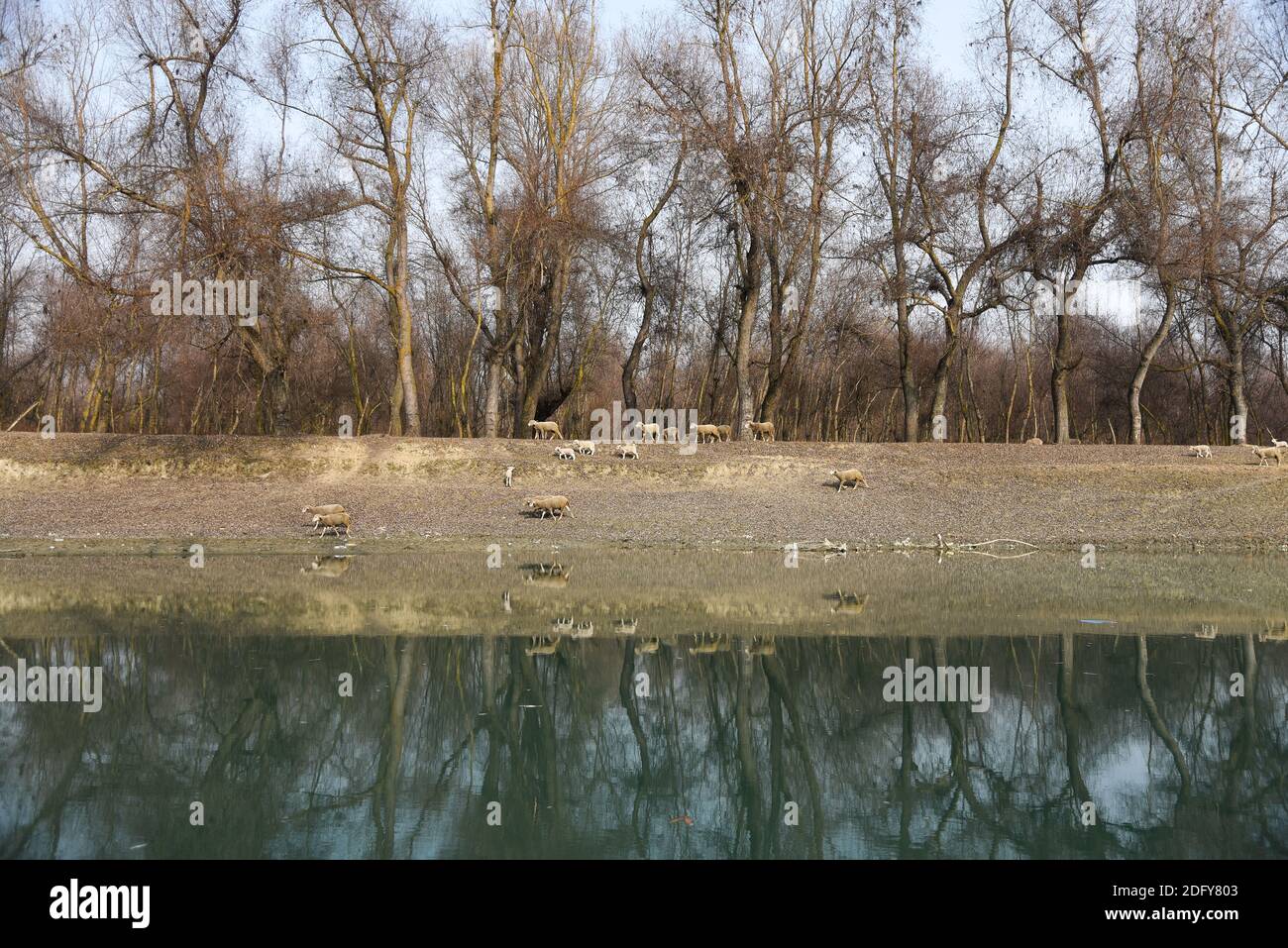 Cold glacier fed rivers hi-res stock photography and images - Alamy