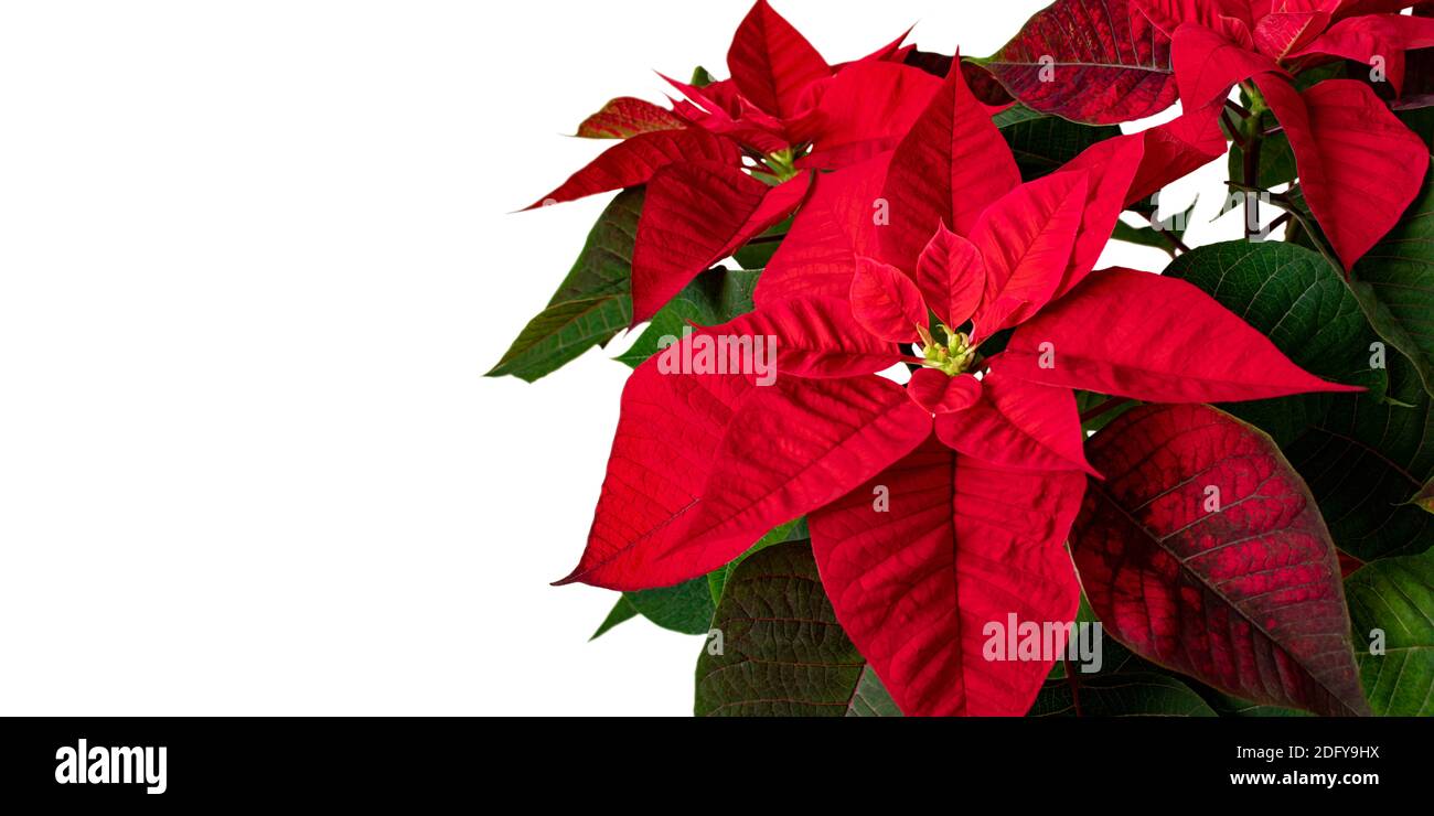 Pascua hi-res stock photography and images - Alamy