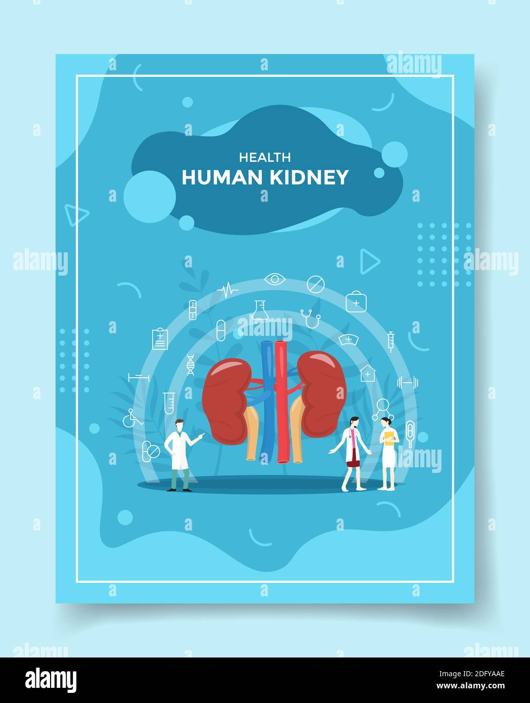 Kidneys book illustration hi-res stock photography and images - Alamy