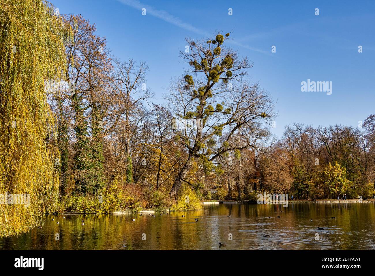 Golden autumn view in famous Munich relax place - Englischer Garten ...