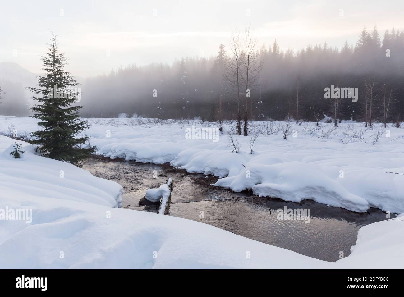 Gold creek pond snow washington hi-res stock photography and images - Alamy