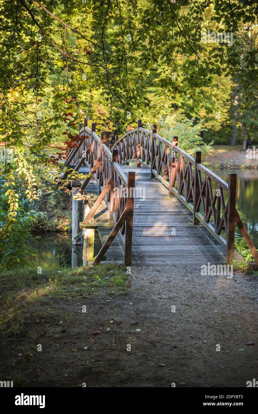 Small bridge in Park Branitz near Cottbus Stock Photo - Alamy