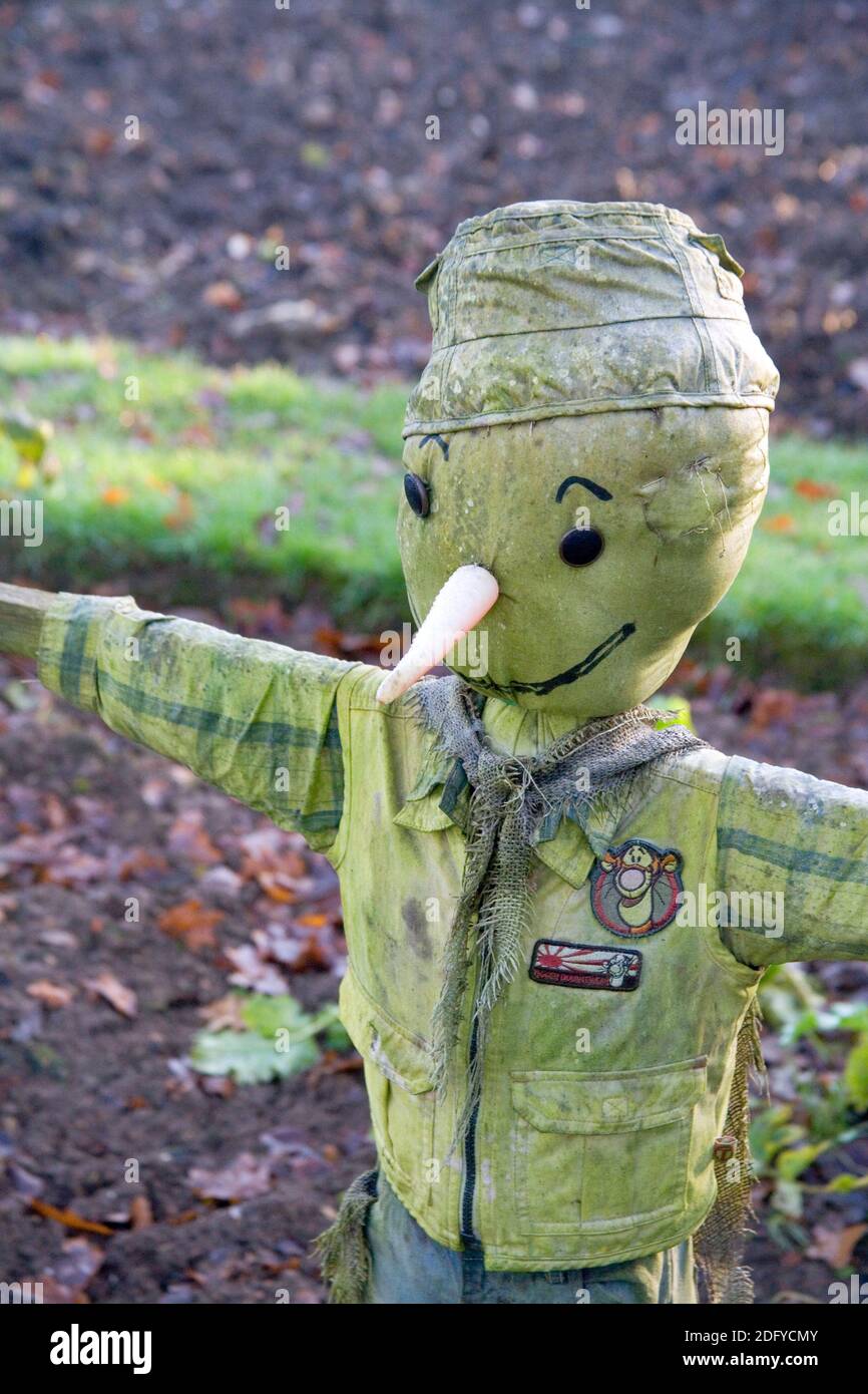 Old scarecrow hi-res stock photography and images - Alamy