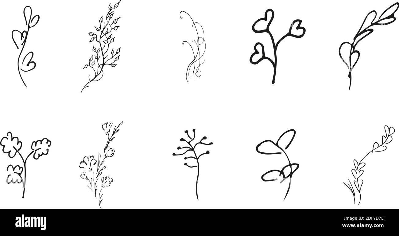 Doodle simple vector collection of 10 hand-drawn floral elements. Big ... Doodle simple vector collection of 10 hand-drawn floral elements. Big ...
