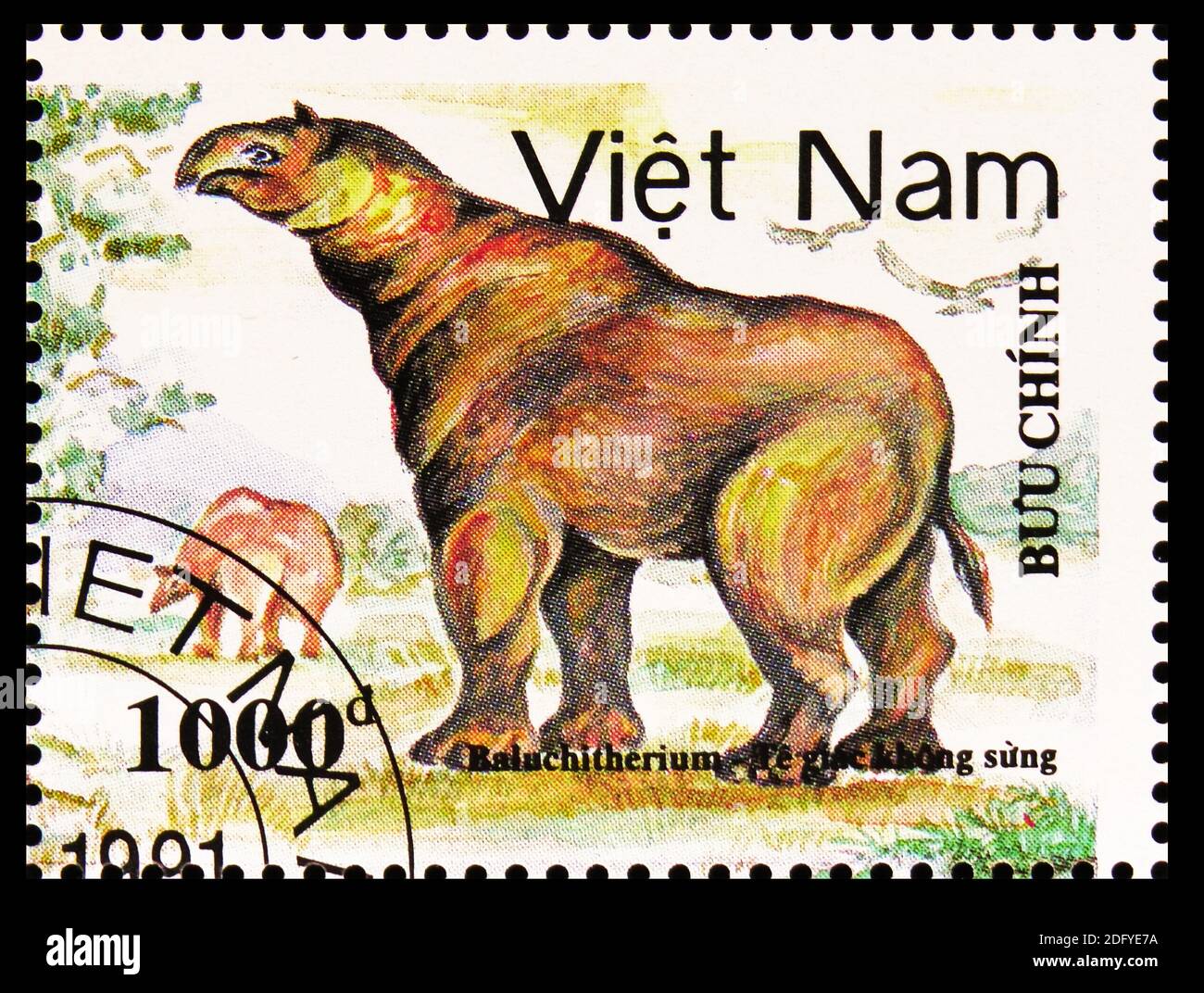 Baluchitherium hi-res stock photography and images - Alamy