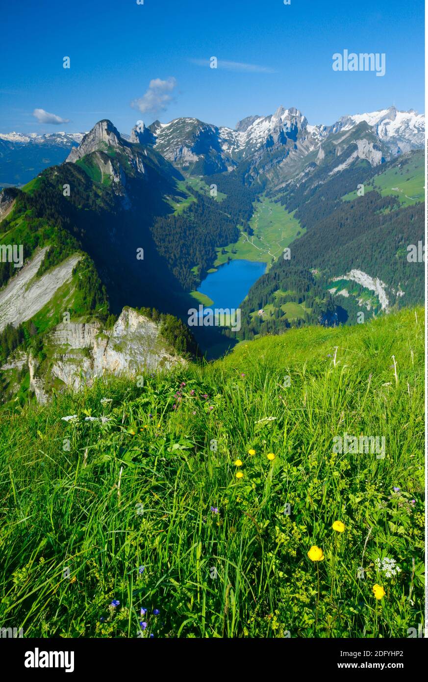 geography / travel, Switzerland, view high caste, Appenzell and St ...