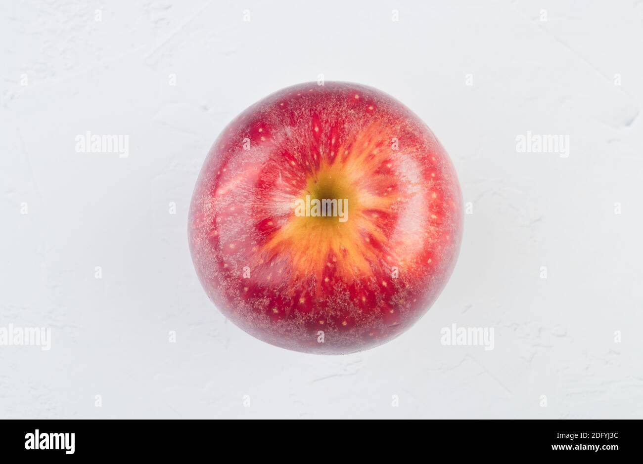 The apple is the edible fruit of the Malus domestica species, commonly ...