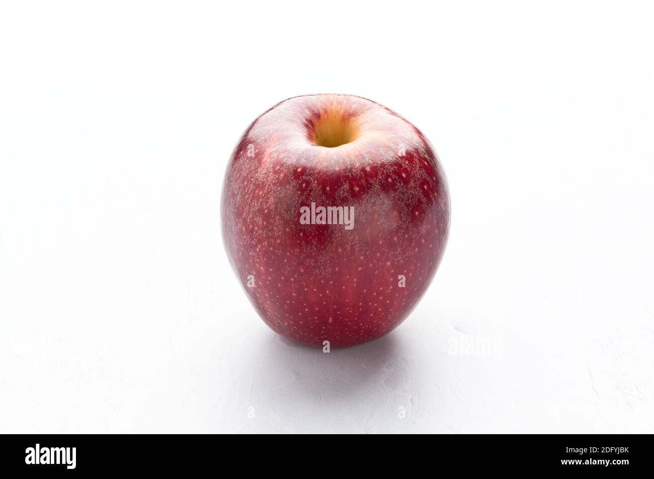 The apple is the edible fruit of the Malus domestica species, commonly ...