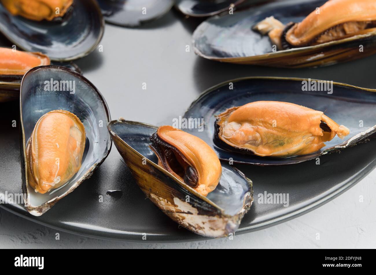 Mussels are a family of bivalve mollusks of great economic and ...