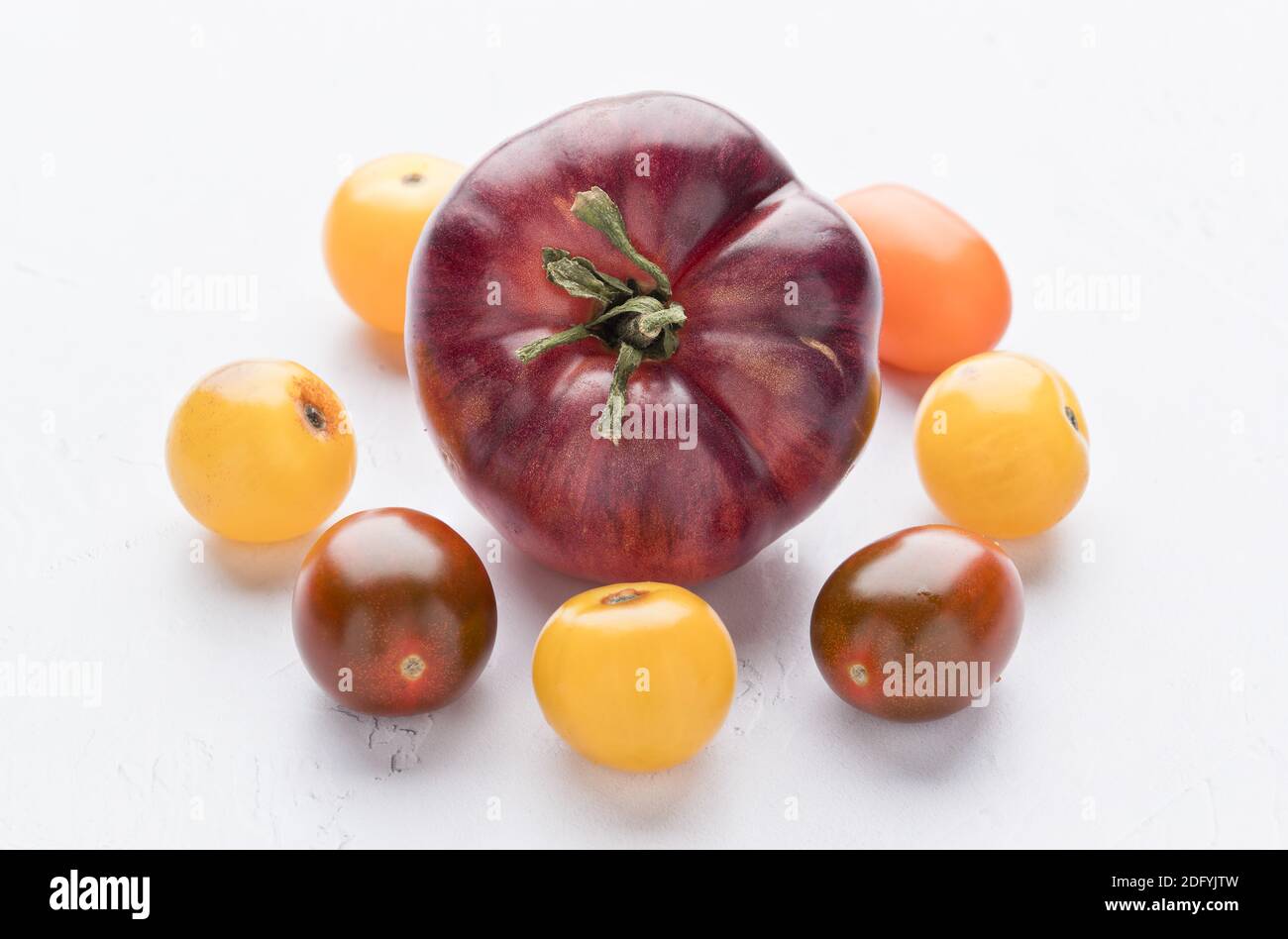 Tomato, (Solanum lycopersicum), whose fruit is the tomato, commonly ...