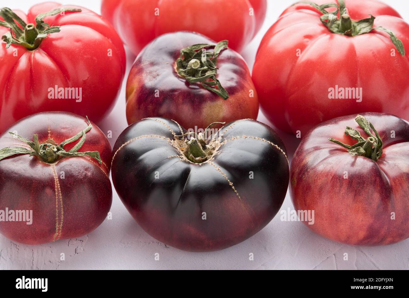 Tomato, (Solanum lycopersicum), whose fruit is the tomato, commonly ...