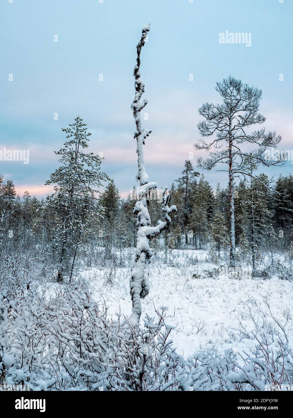 Polar day hi-res stock photography and images - Alamy